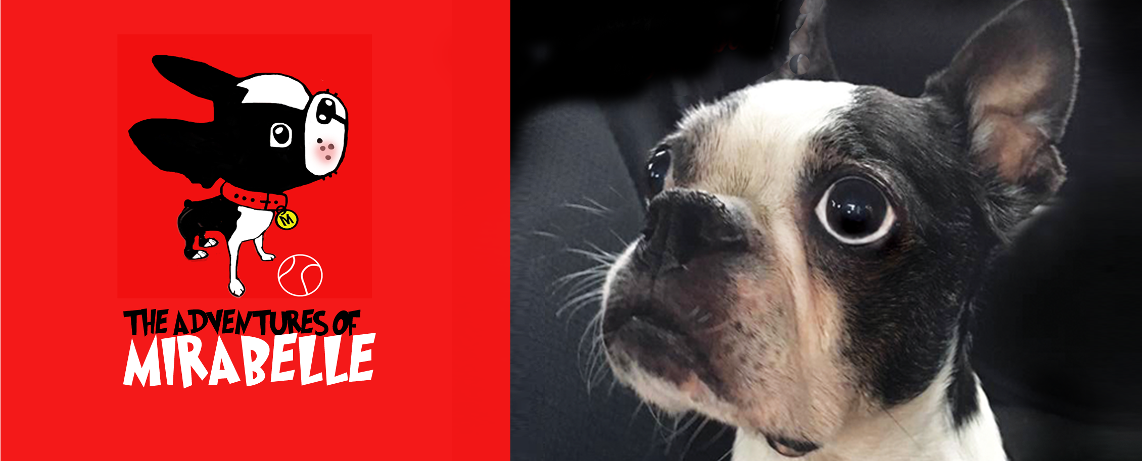 The Adventures of Mirabelle Store